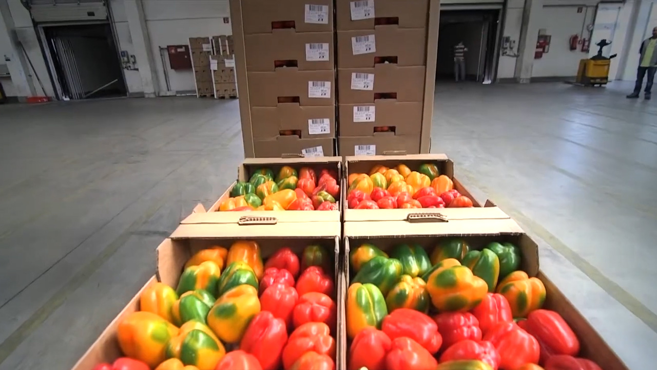 Transport & Environment Series – Part 3 | Cube Infrastructure Managers